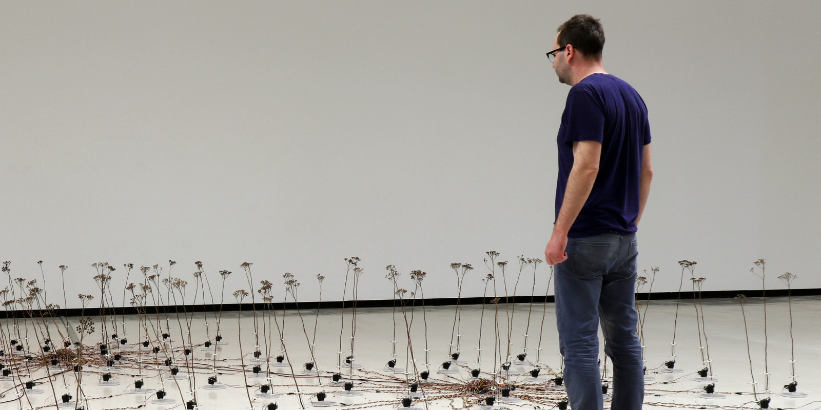 David Bowen - Maintenant Festival