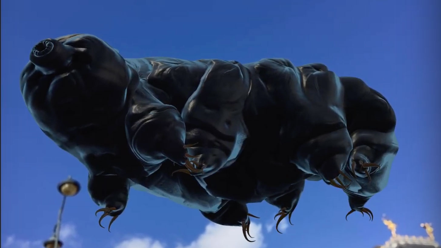 Slow Walker · Conference at EESAB & mediation - Maintenant Festival